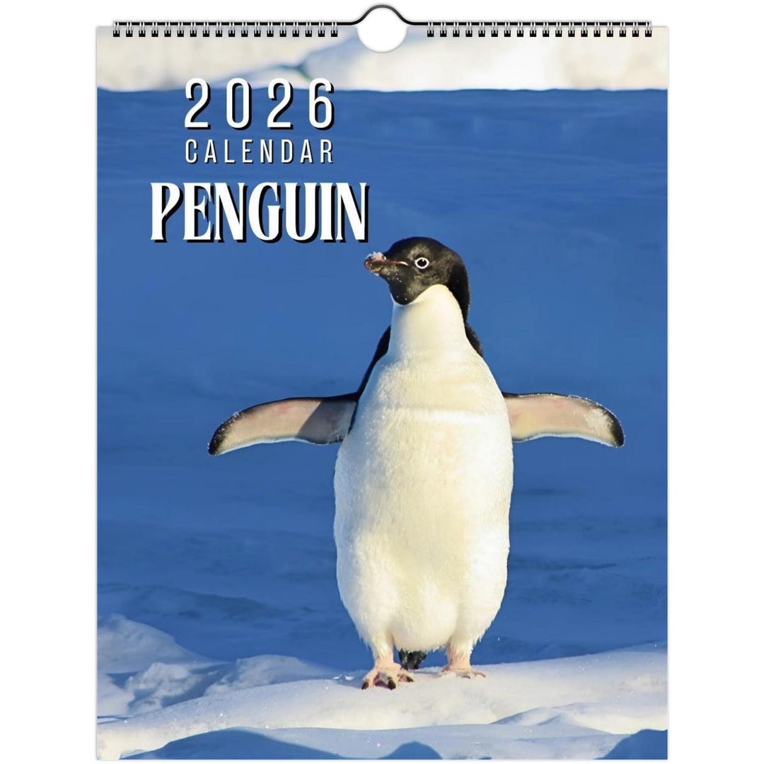 2026 Penguin Wall Calendar: Wildlife Art Print, Animal Theme Decor ...