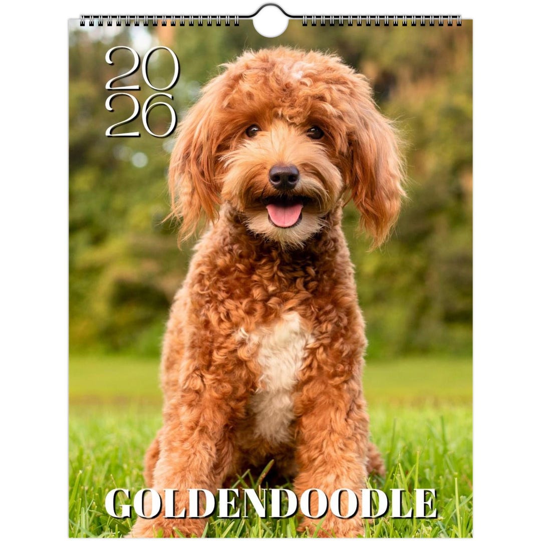2026 Goldendoodle Wall Calendar, Holiday Gift Idea for Dog Lovers ...
