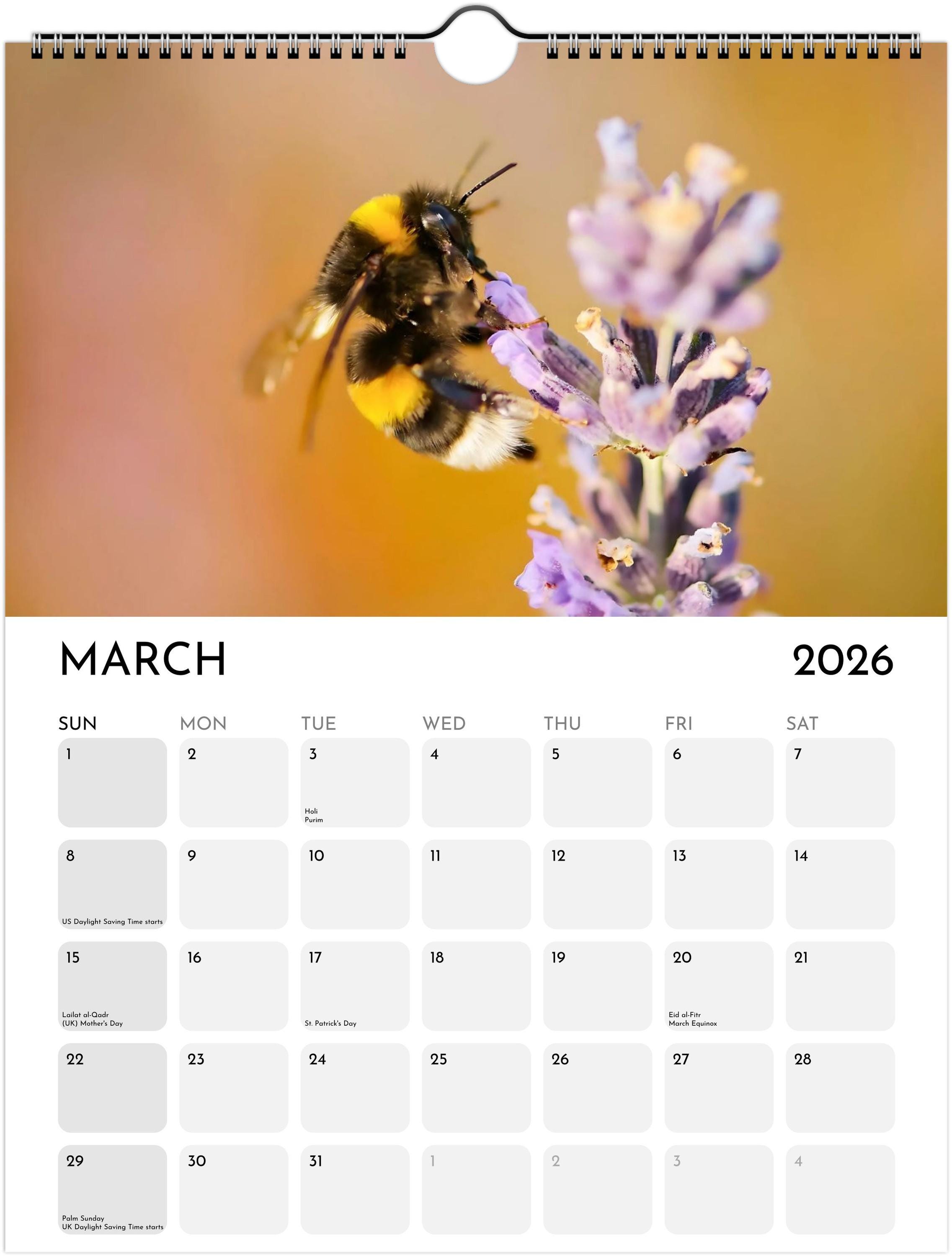 2026 Bee Wall Calendar, Holiday Gift Idea for Bee Lovers, Yearly ...
