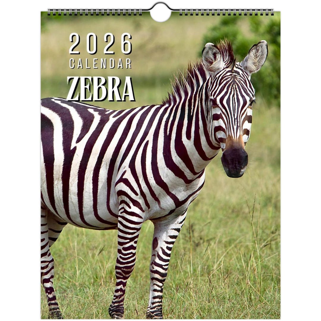 2026 Zebra Wall Calendar: Wildlife Art Print, Unique Animal Lover Gift ...