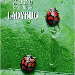 2026 Ladybug Wall Calendar - Etsy