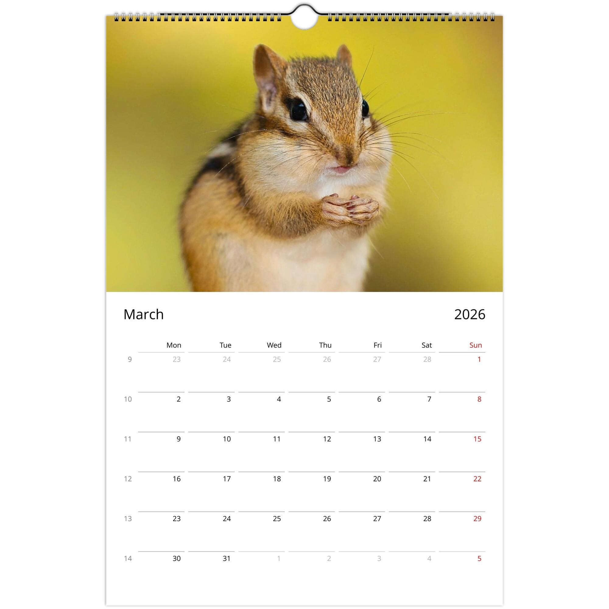 2026 Chipmunk Wall Calendar, Unique Animal Lover Gift, Chipmunk Wall ...