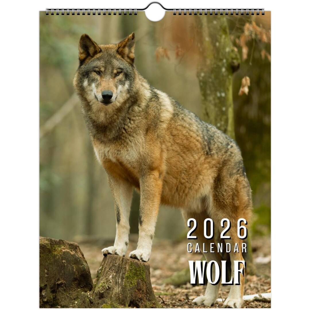 2026 Wolf Wall Calendar: Wildlife Art Print, Unique Animal Lover Gift ...