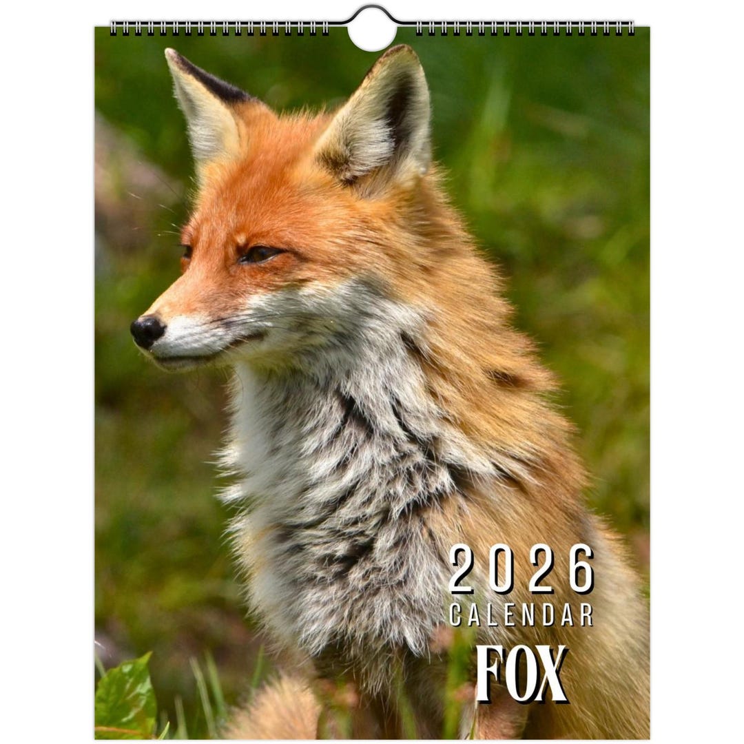2026 Fox Wall Calendar, Wildlife Art Print, Animal Theme Decor, Fox ...
