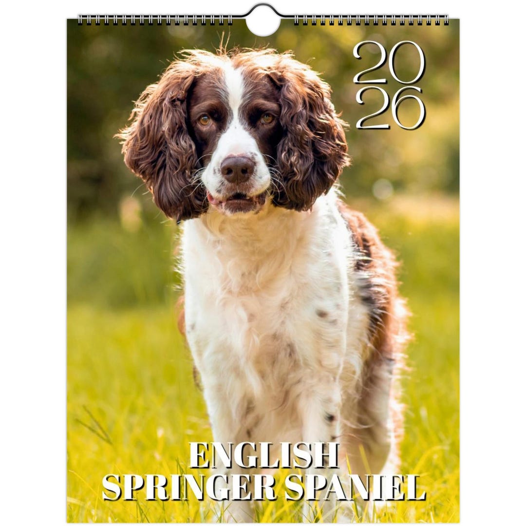 2026 English Springer Spaniel Wall Calendar, Holiday Gift Idea for Dog ...