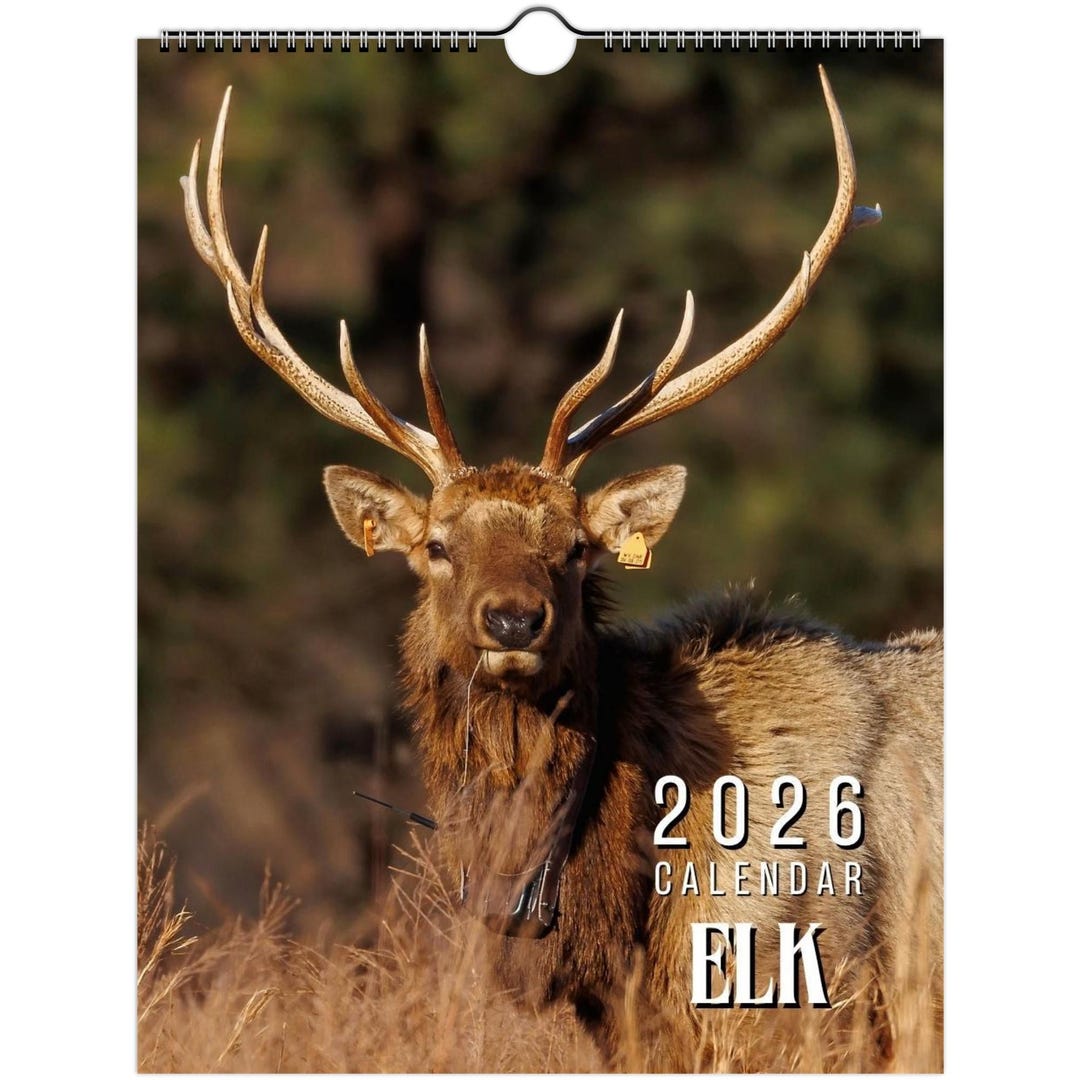 2026 Elk Wall Calendar: Wildlife Art Print, Animal Theme Decor, Unique ...