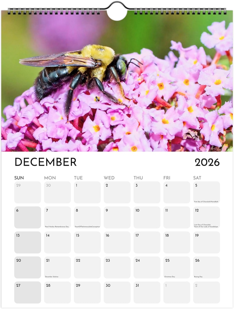 2026 Bee Wall Calendar, Holiday Gift Idea for Bee Lovers, Yearly ...