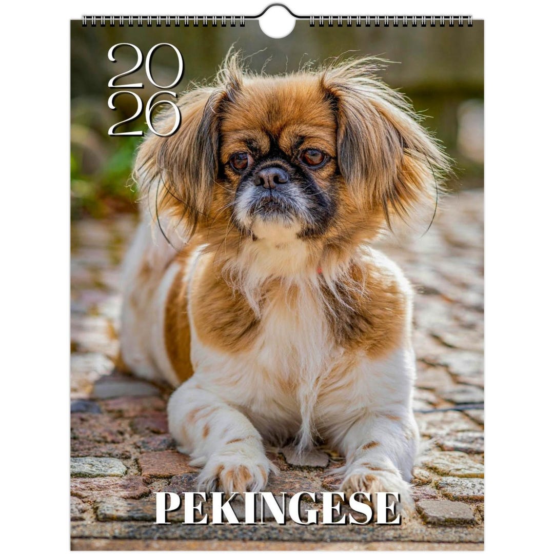2026 Pekingese Wall Calendar - Unique Gift for Dog Lovers, 12 Month ...