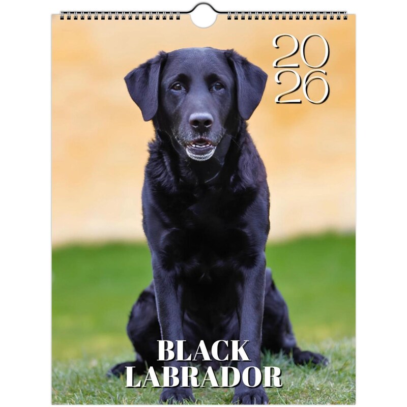 2026 Labrador Calendar - Etsy Canada