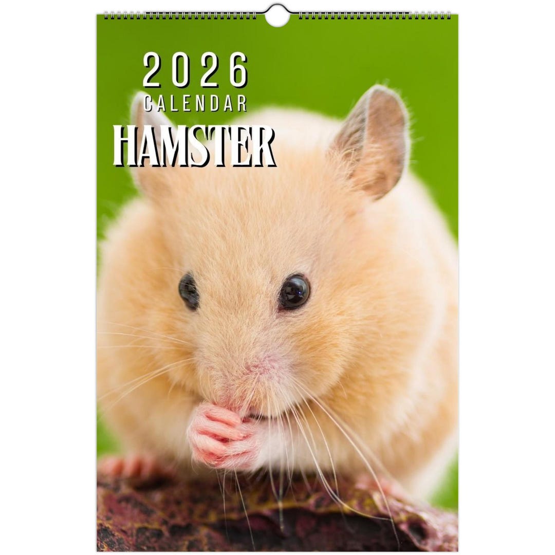 2026 Hamster Wall Calendar: Wildlife Art Print, Animal Theme Decor ...