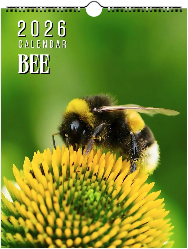 2026 Bee Wall Calendar, Holiday Gift Idea for Bee Lovers, Yearly ...