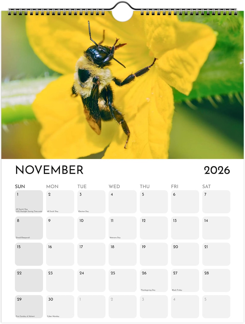 2026 Bee Wall Calendar, Holiday Gift Idea for Bee Lovers, Yearly ...
