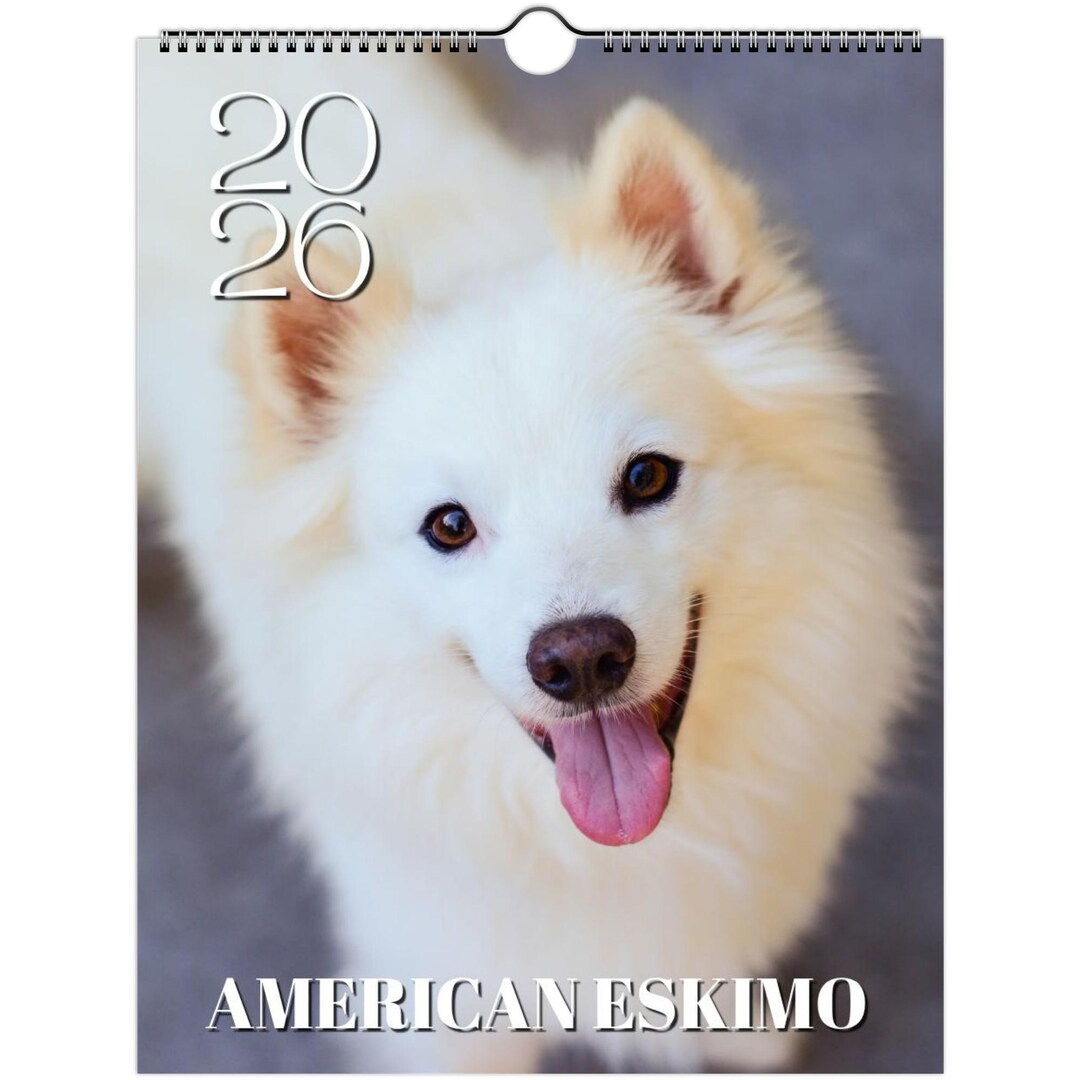 2026 American Eskimo Dog Calendar: Animal Art Decor, Dog Lover Gift, 12 ...