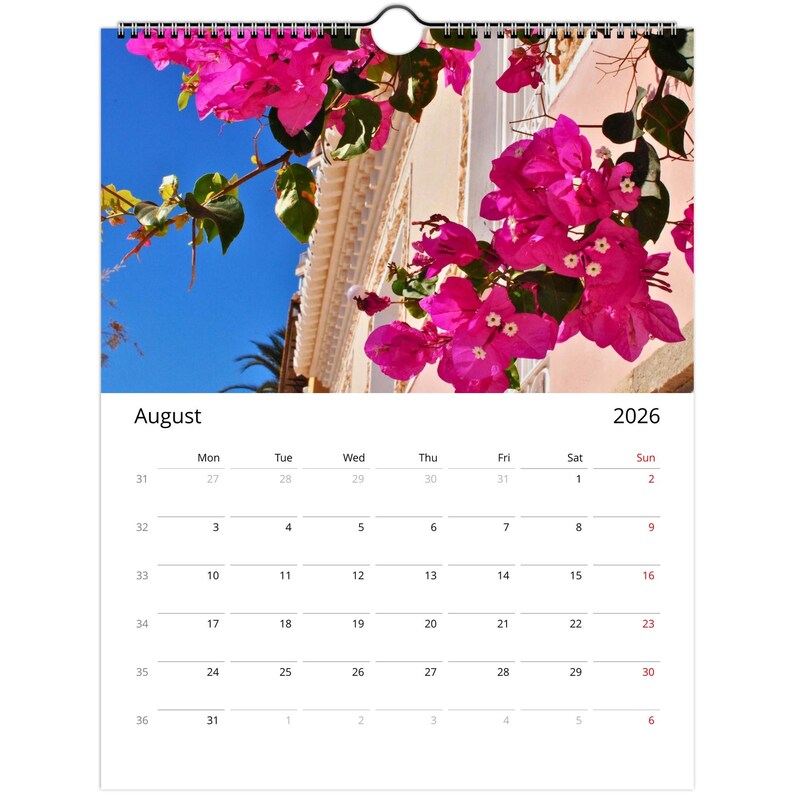 2026 Bougainvillea Wall Calendar: Floral Botanical Art, Nature Lovers ...