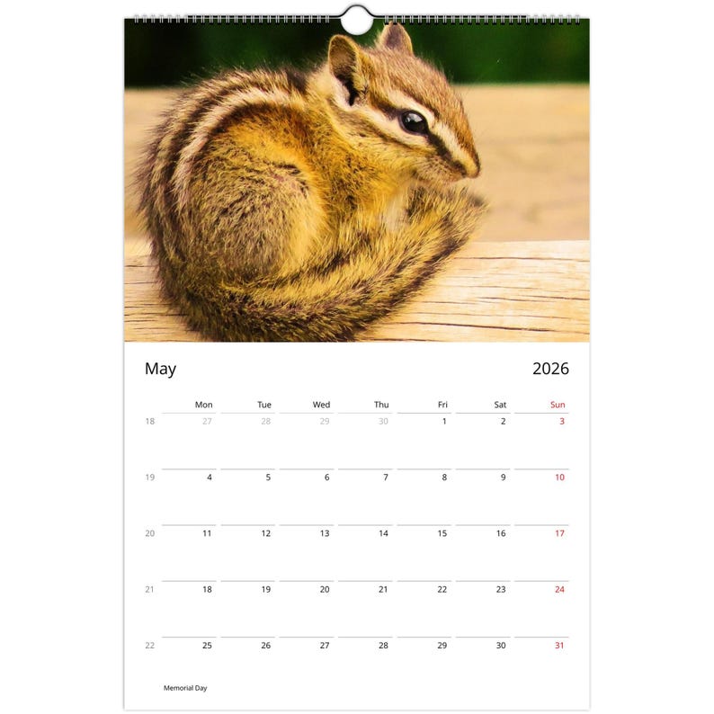2026 Chipmunk Wall Calendar, Unique Animal Lover Gift, Chipmunk Wall ...