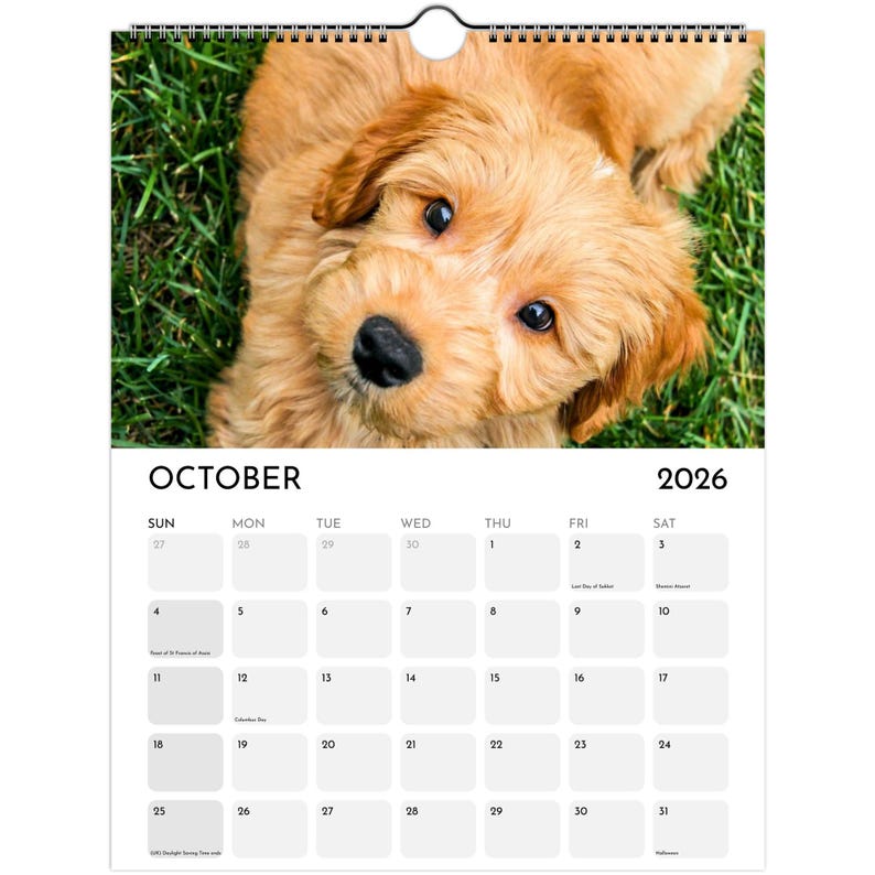 2026 Goldendoodle Wall Calendar, Holiday Gift Idea for Dog Lovers ...