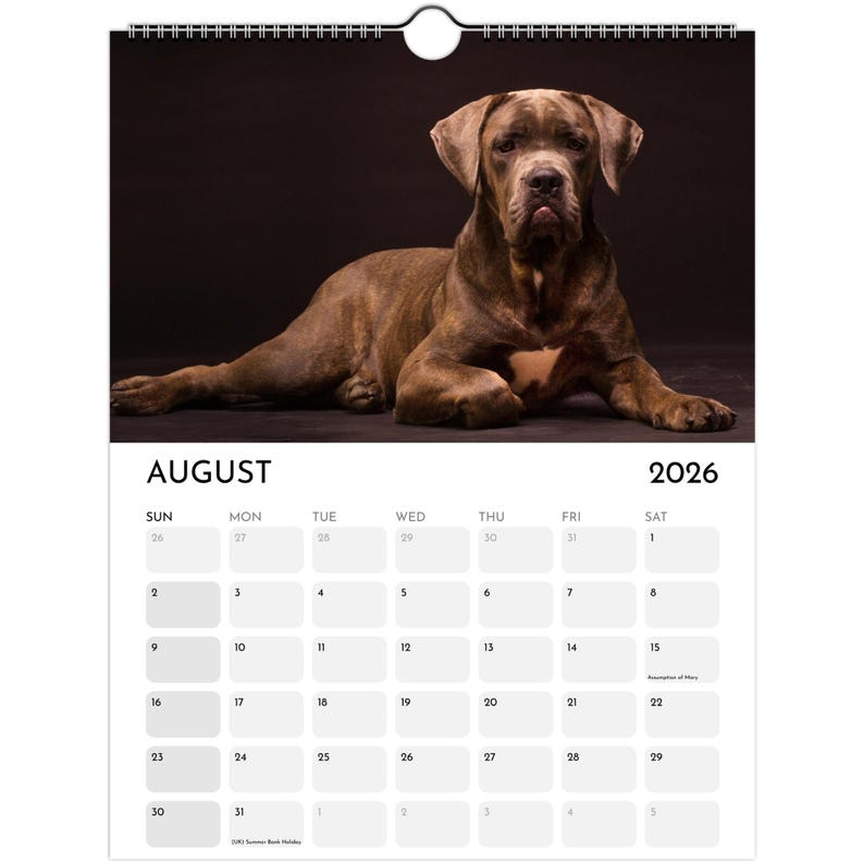 2026 Cane Corso Wall Calendar, Cane Corse Lovers Gift, Animal Theme ...