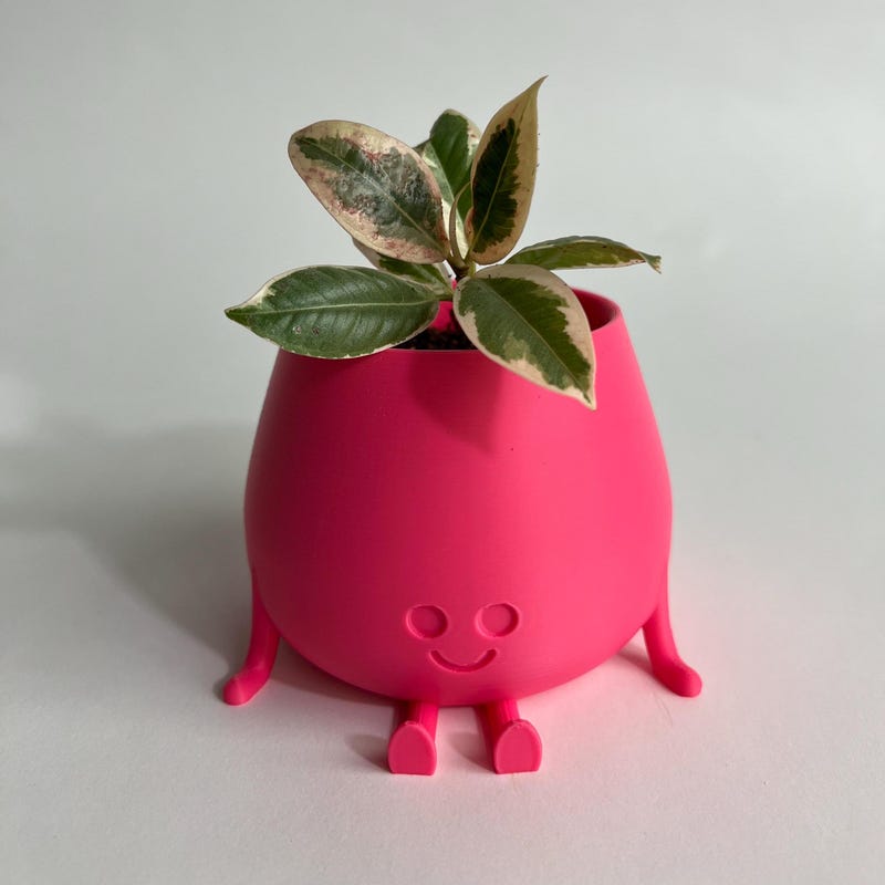 Face Pot - Etsy