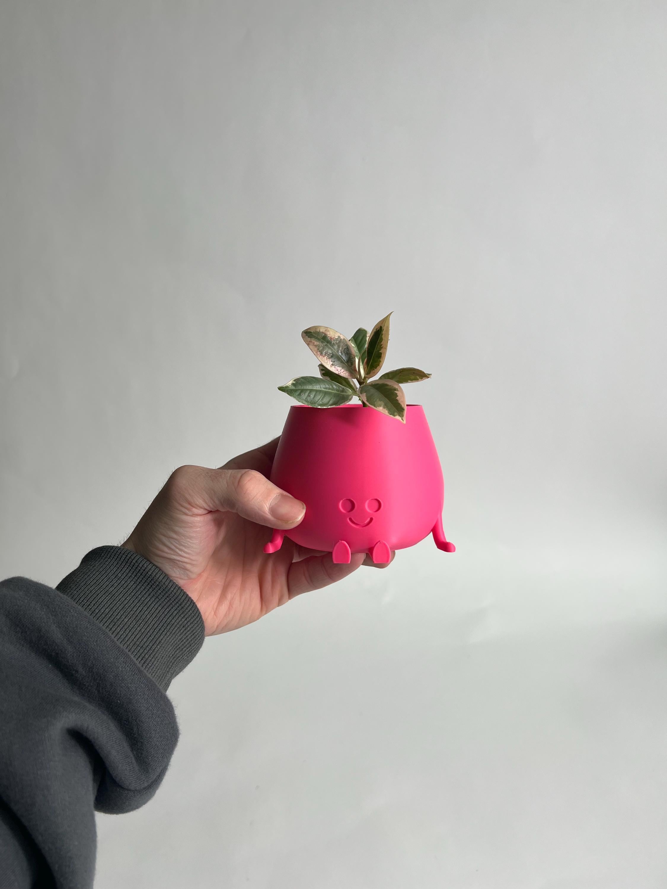 3D Printed Happy Face Pot Cute Planter, Succulent Pot, Planter, Home ...