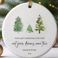 Custom Rainbow Embryo IVF Christmas Ornament - Laser Engraved ...