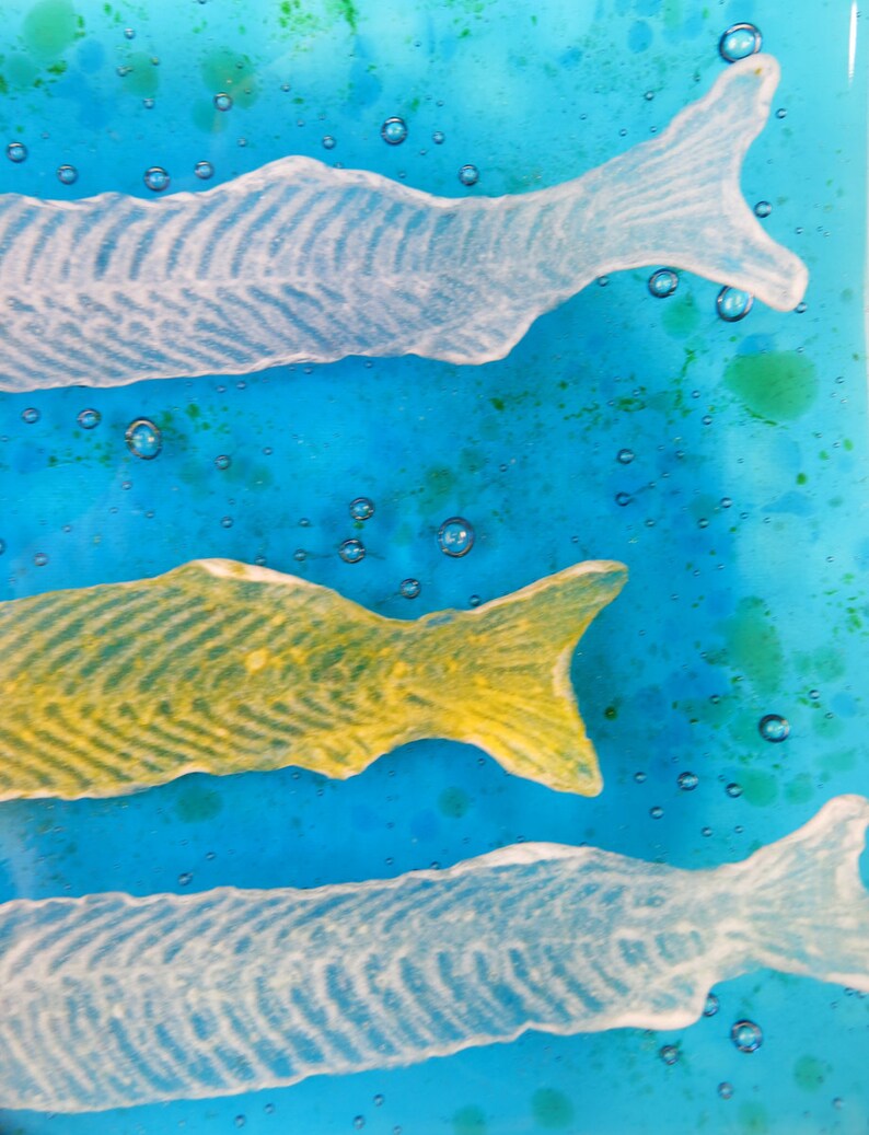 Tarpon Leptocephalus Fish Larva Fused Glass Dish - Etsy
