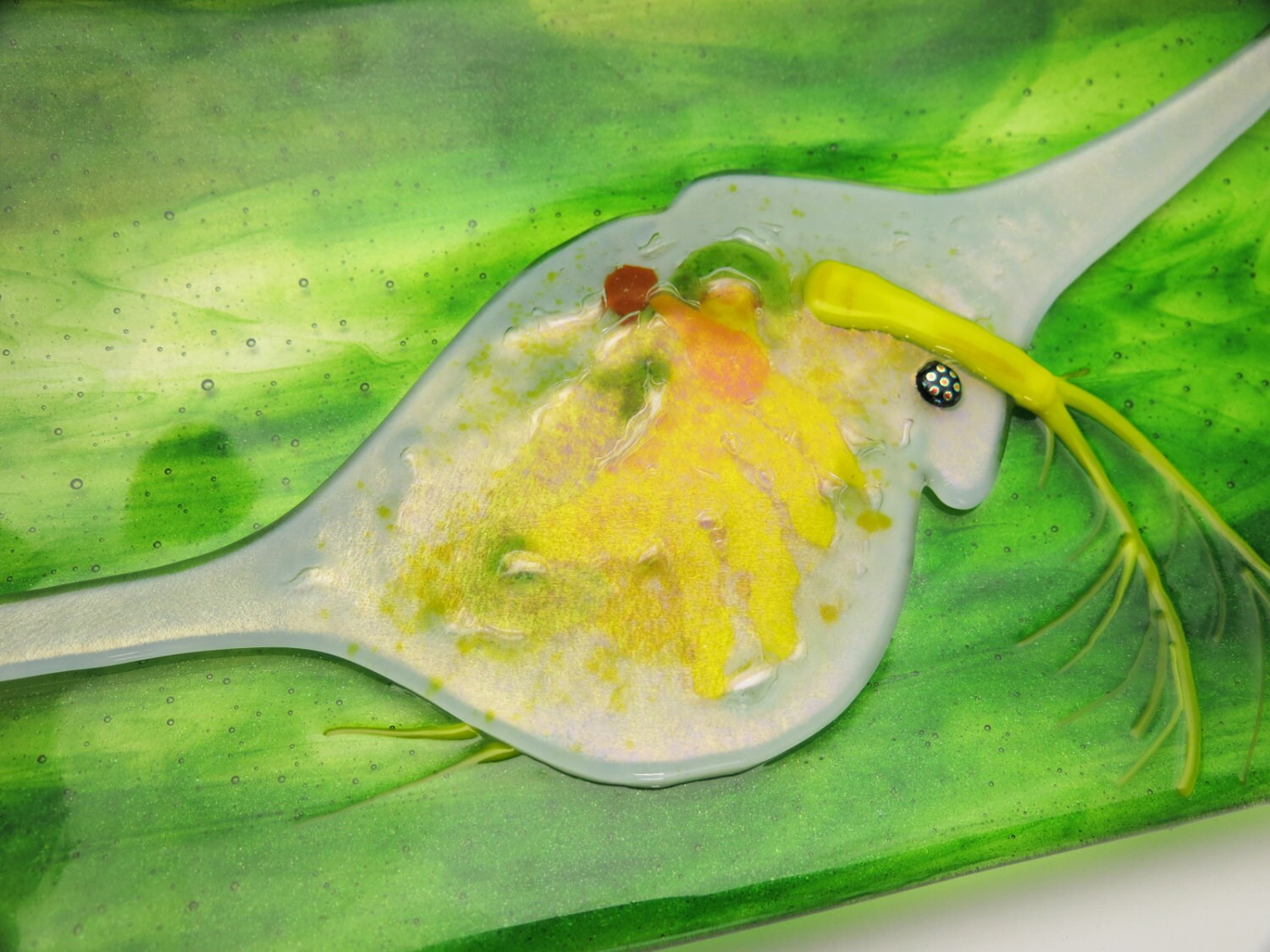 Daphnia Lumholtzi Fused Glass Dish - Etsy