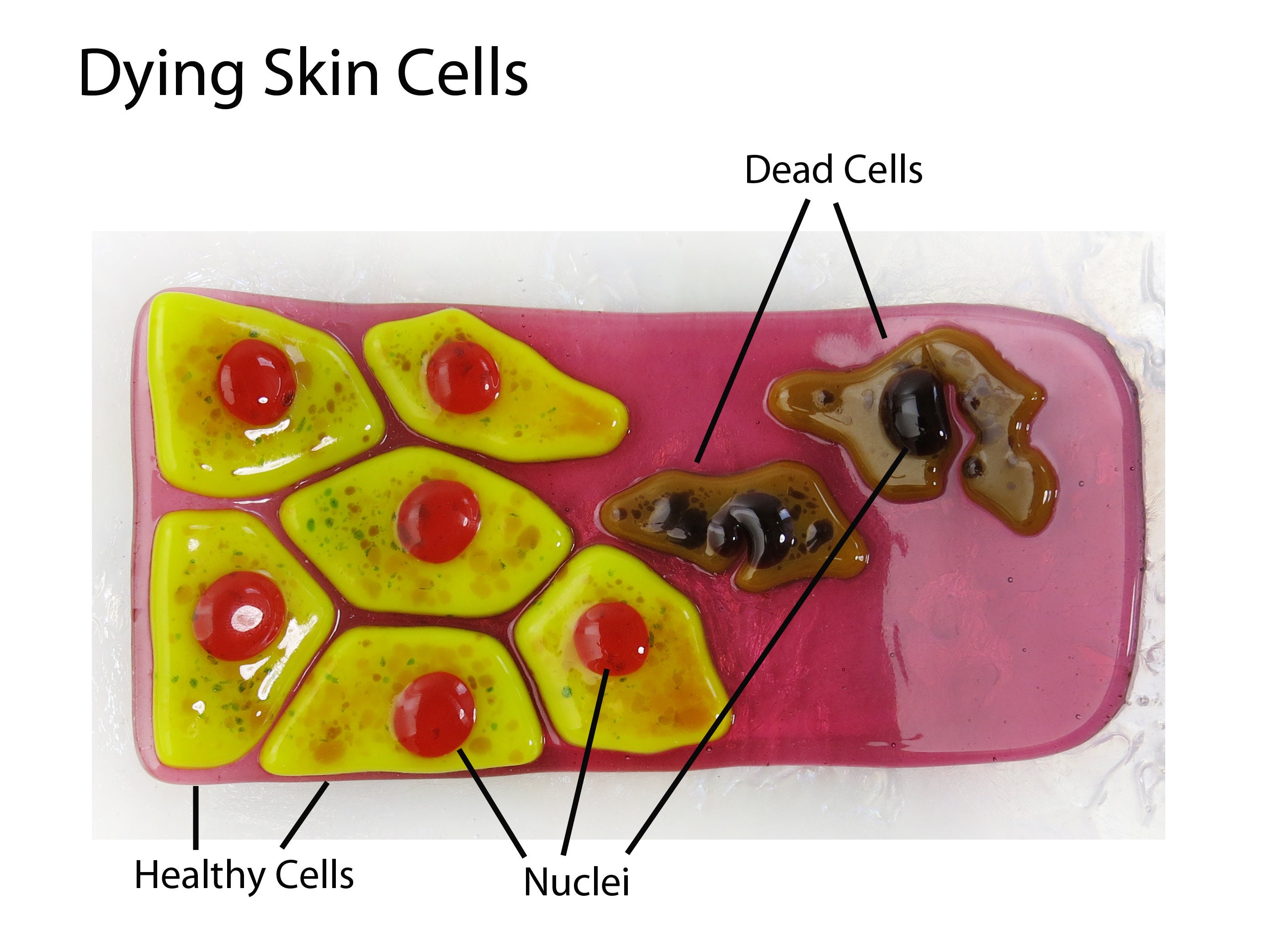 Dying Skin Cells Fused Glass Dish - Etsy