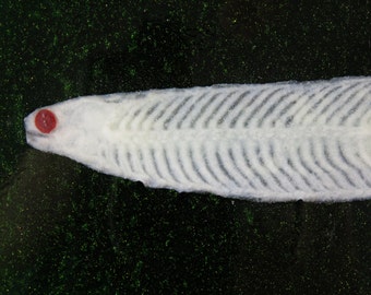 Tarpon Leptocephalus Fish Larva Fused Glass Dish | Etsy