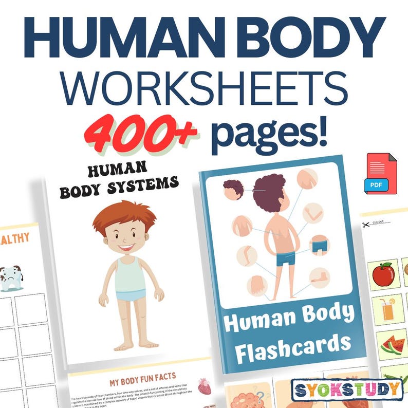 Human Body Worksheets / Busy Book Bundle Set | Printable PDF | Learn ...