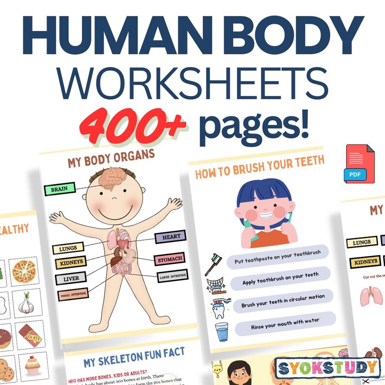 Human Body Worksheets / Busy Book Bundle Set | Printable PDF | Learn ...
