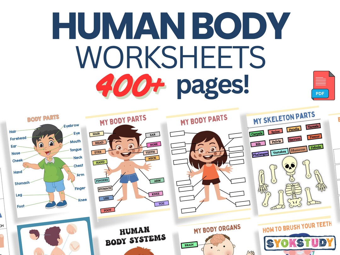 Human Body Worksheets: Anatomy Busy Book Bundle (printable PDF) - Etsy