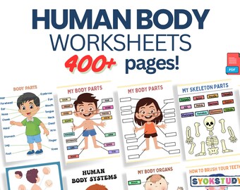 Human Body Worksheets / Busy Book Bundle Set | Printable PDF | Learn ...