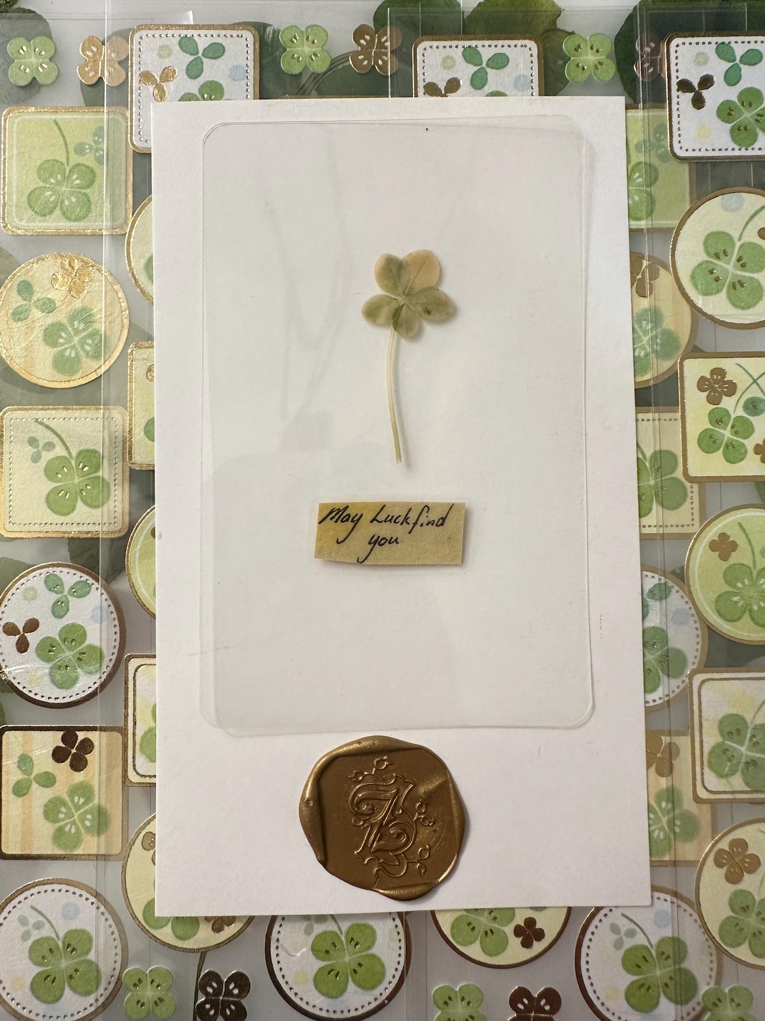 2 of 100 Sun Bleached 5-leaf Clover - Etsy