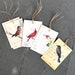 6 Quail Gift Tags, Recycled Paper, Watercolor Print French Script ...