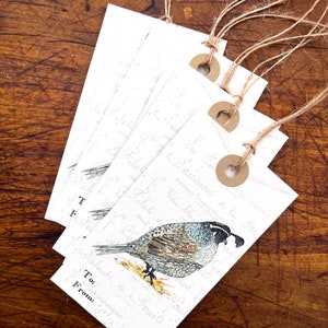 6 Quail Gift Tags, Recycled Paper, Watercolor Print French Script ...
