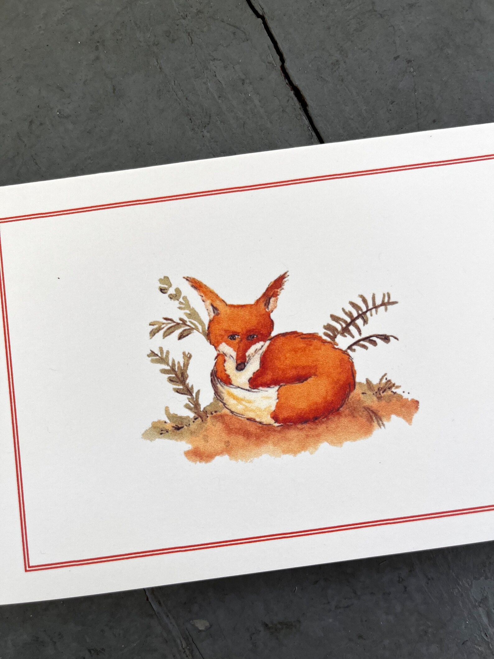 Fox Thank You Note Notecards With Deep Orange Border. Set of 8 ...