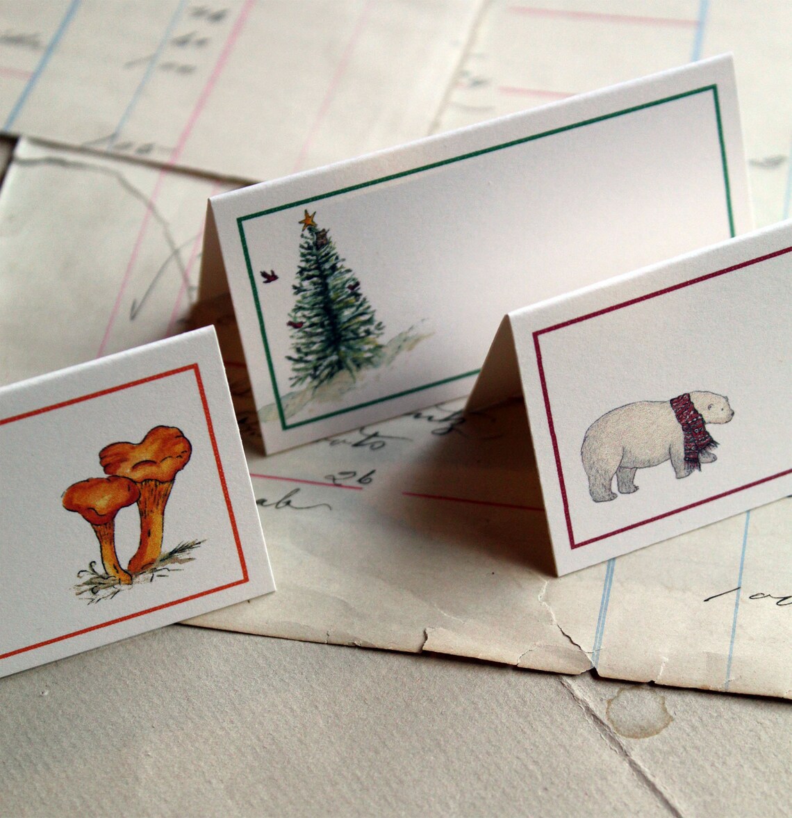 NEW Placecards for Your Table Set of 12. Watercolor Polar - Etsy