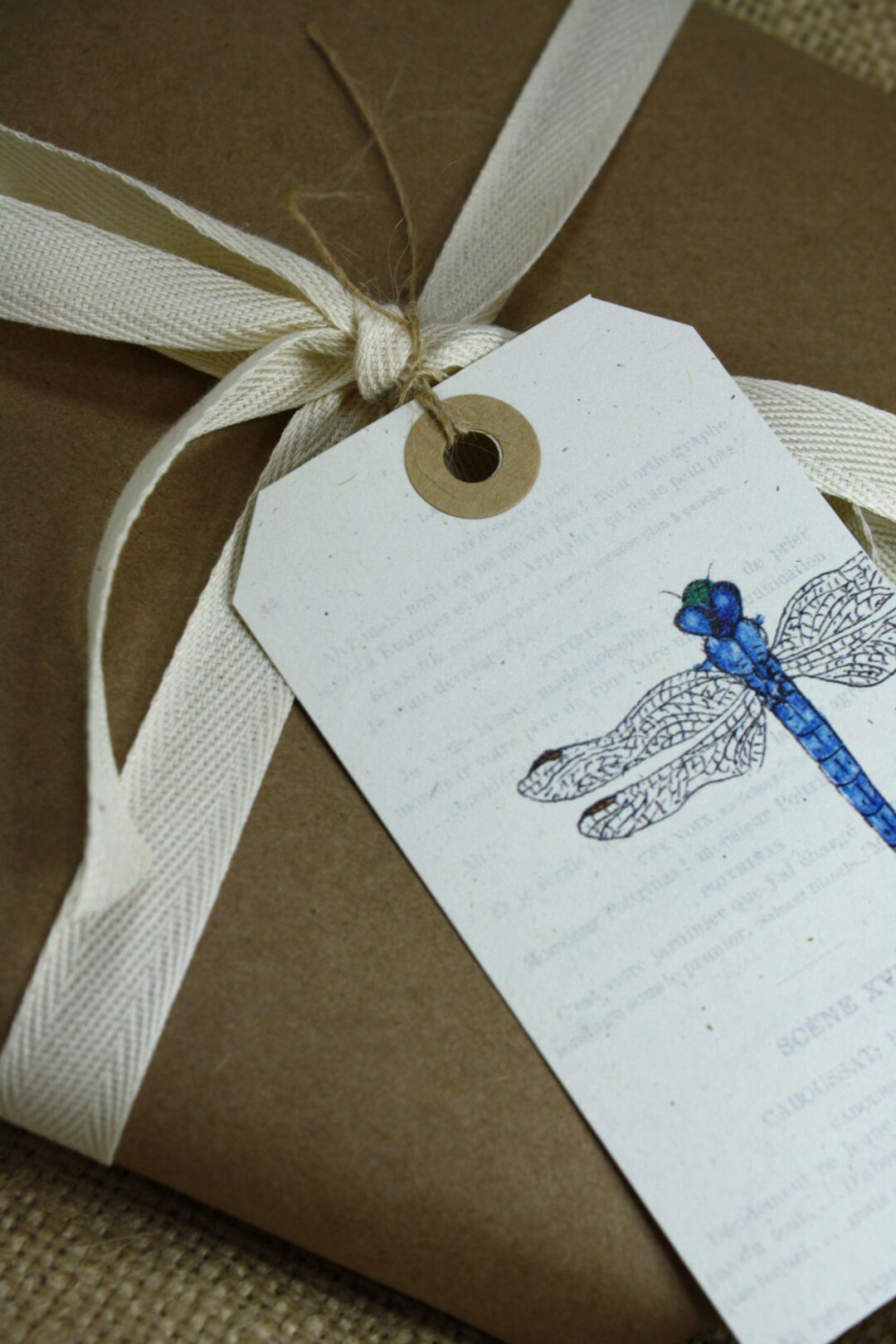 6 Dragonfly Gift Tags Recycled Paper Insect Tags Set of 6 - Etsy