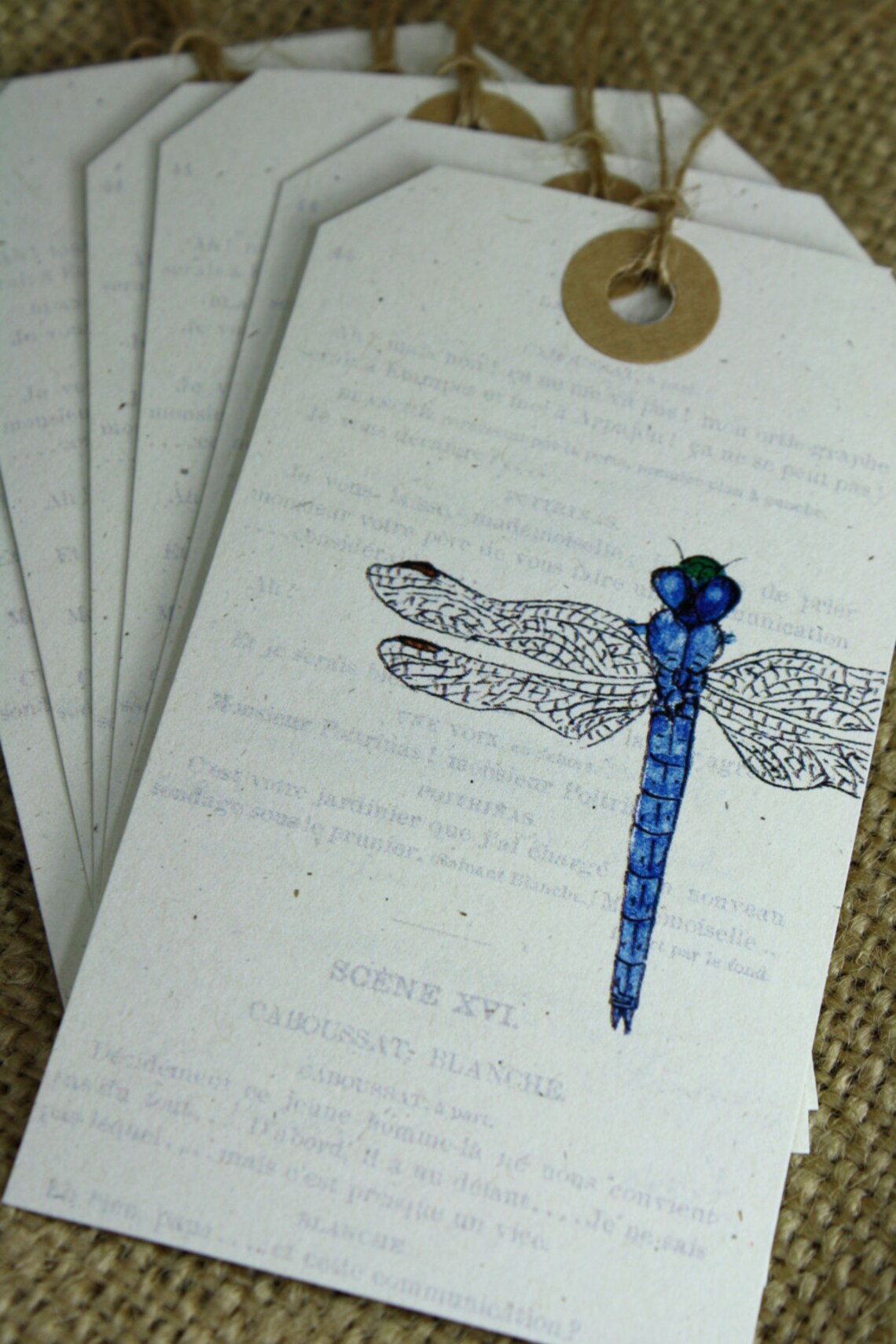 6 Dragonfly Gift Tags Recycled Paper Insect Tags Set of 6 - Etsy