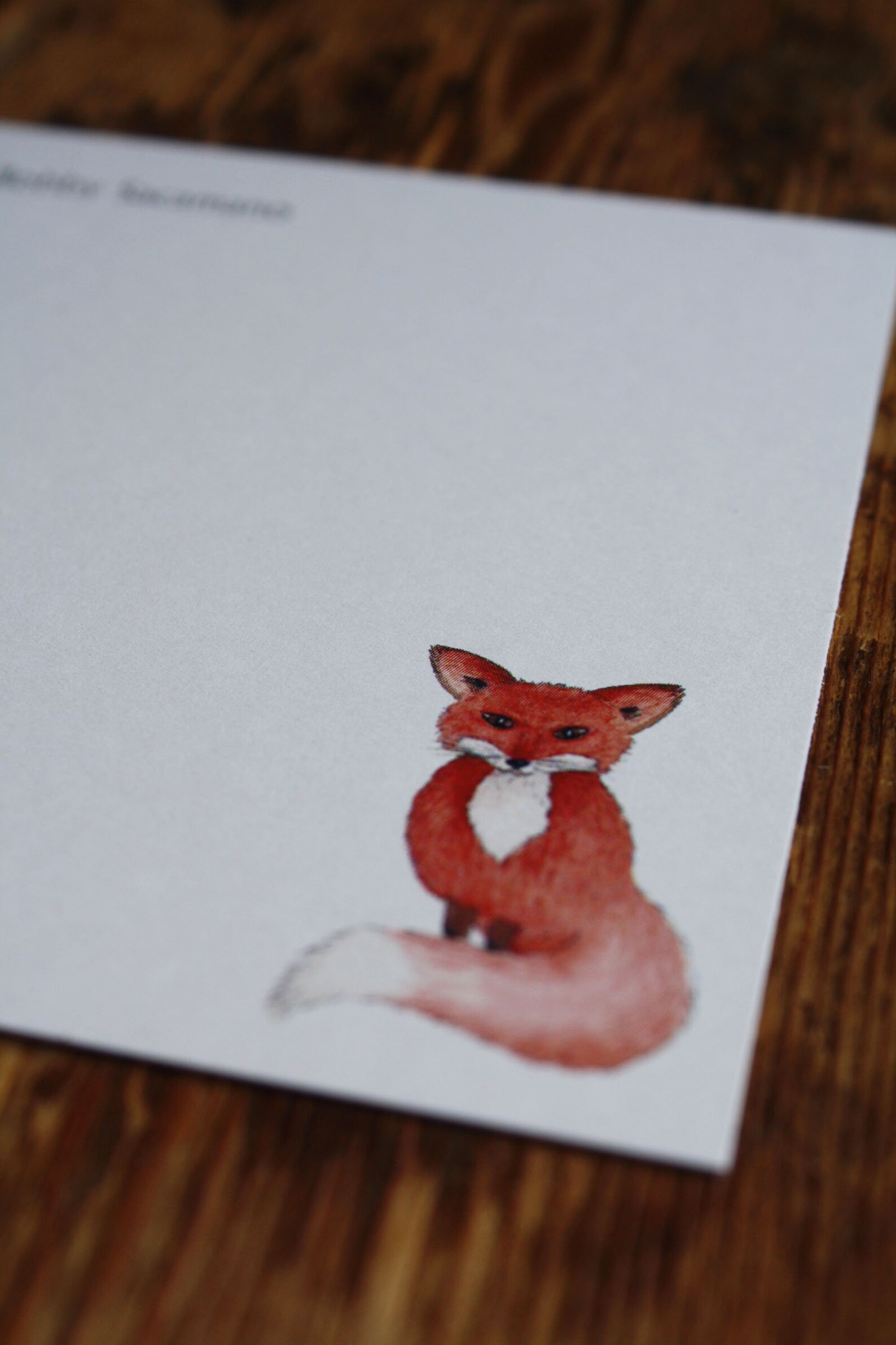 Cute Orange Fox Custom Notecard Stationery. Thank You Any - Etsy