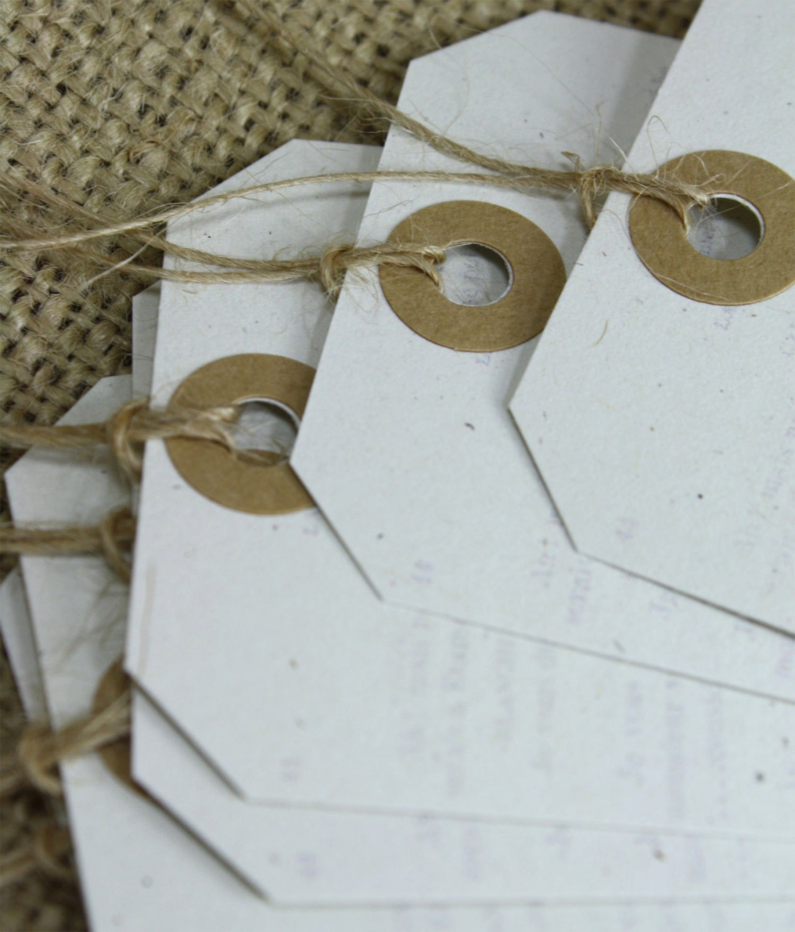 6 Dragonfly Gift Tags Recycled Paper Insect Tags Set of 6 - Etsy