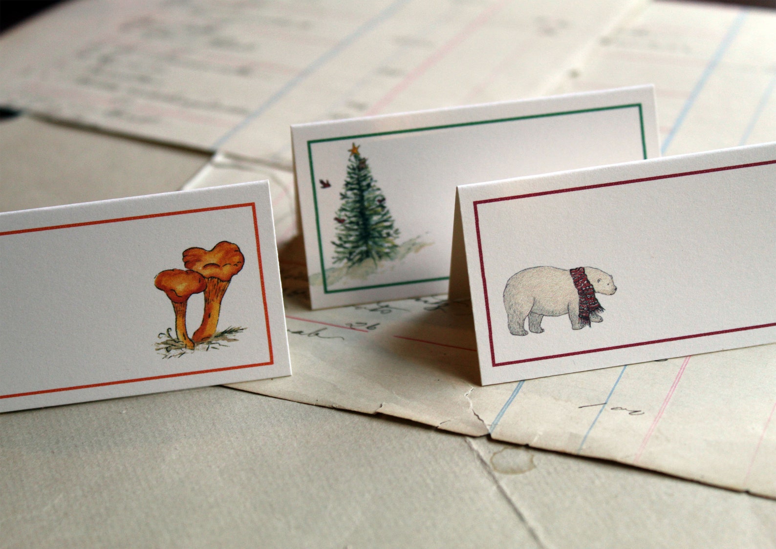 NEW Placecards for Your Table Set of 12. Watercolor Polar - Etsy