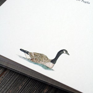 Goose Bird Custom Stationery Notecards, Canadian Goose Stationery ...