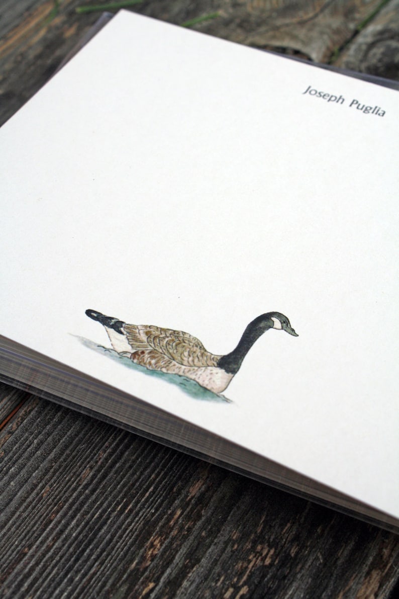 Goose Bird Custom Stationery Notecards Canadian Goose | Etsy