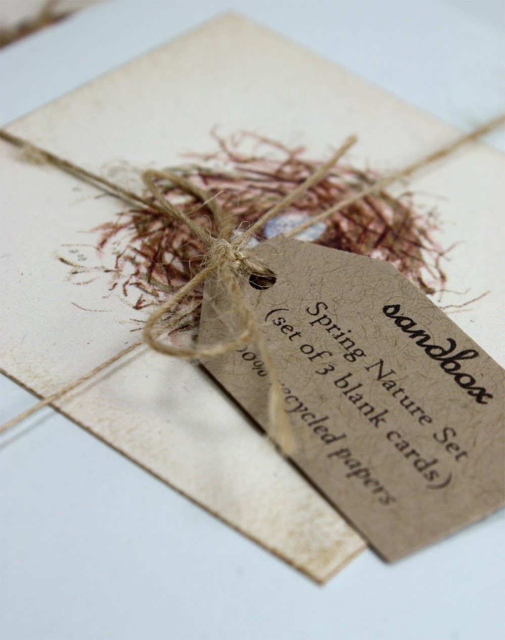 Spring Nature Series Watercolors Set of 3 Greeting Cards | Etsy