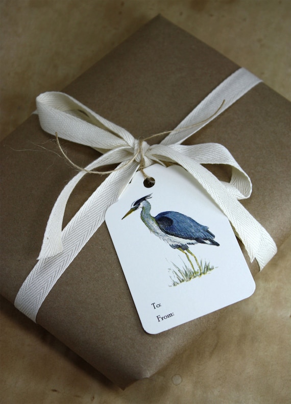 Manly Bird With Ribbon Drawing
