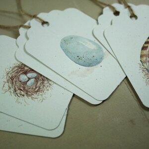 6 Spring Nature Series Tags Watercolors Set of 6 Recycled - Etsy