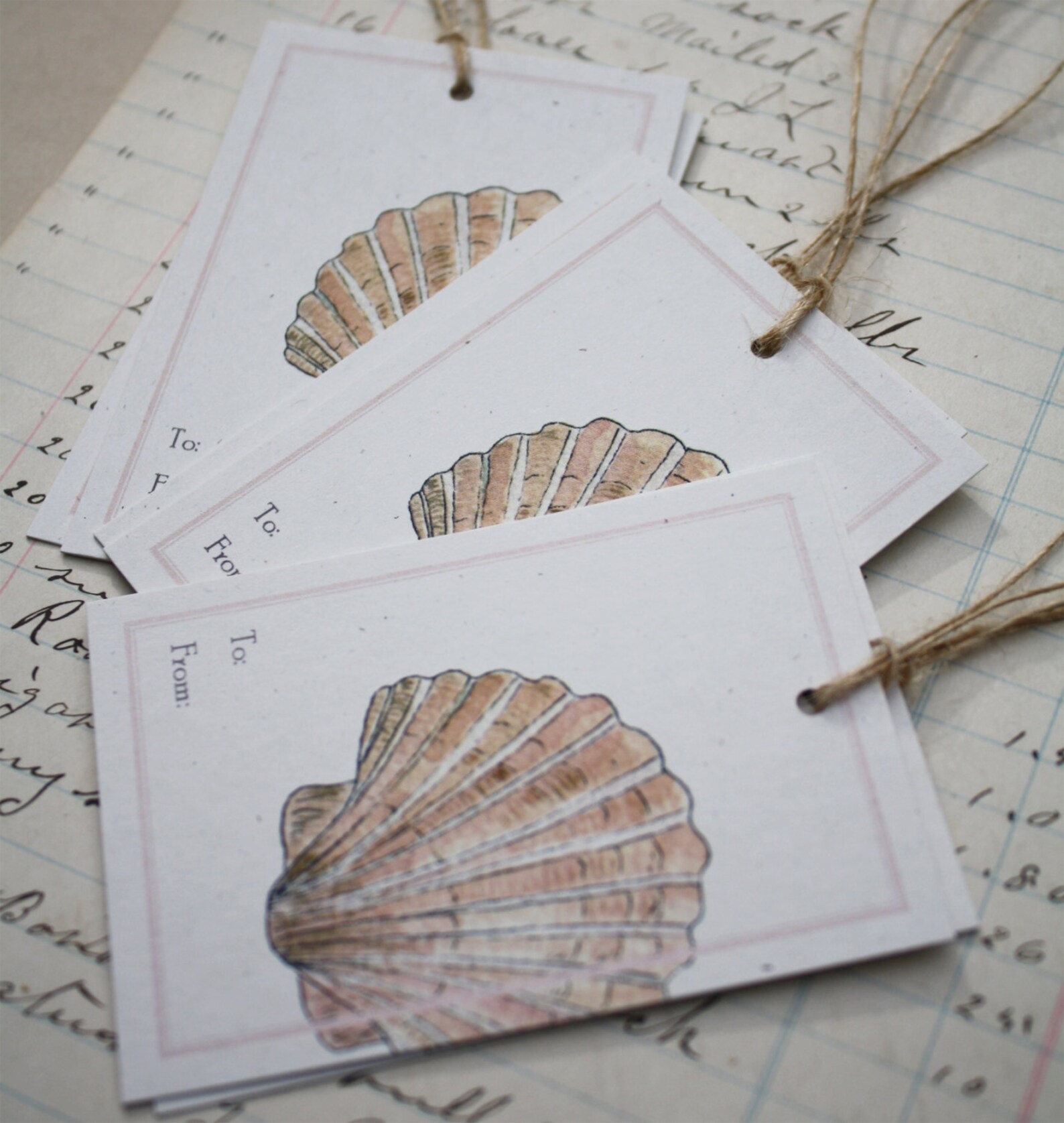 6 Scallop Shell Gift Tags, Set of 6, Beach Tags, on Recycled Cream ...