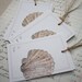 6 Scallop Shell Gift Tags, Set of 6, Beach Tags, on Recycled Cream ...