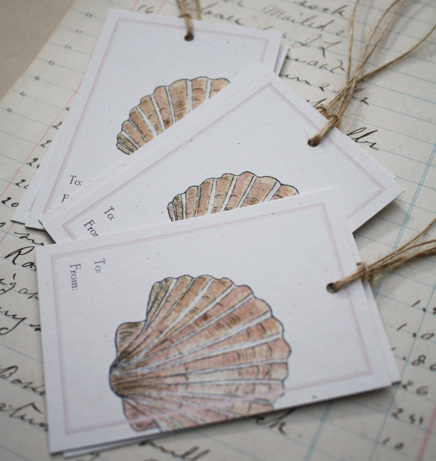 6 Scallop Shell Gift Tags, Set of 6, Beach Tags, on Recycled Cream ...